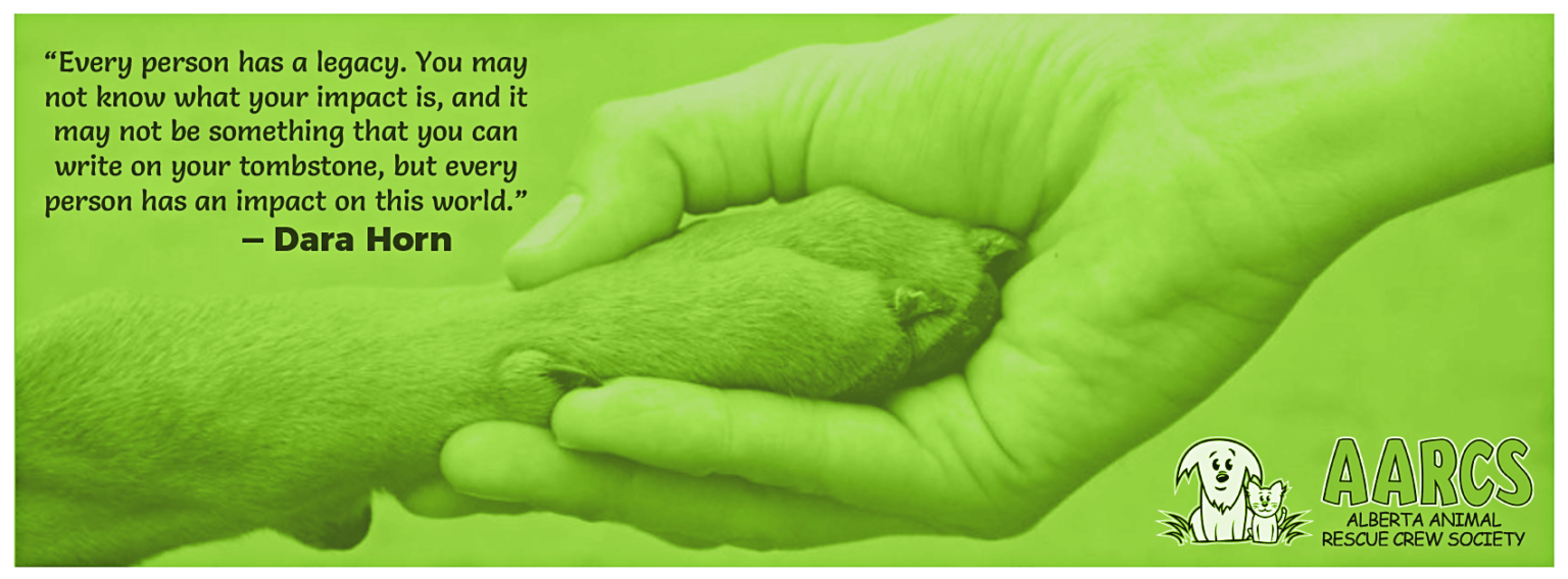 Other Ways to Give - AARCS
