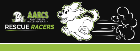 Ongoing Events - AARCS