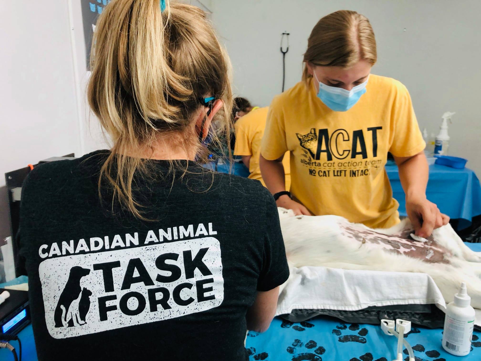 Spaying and Neutering - AARCS