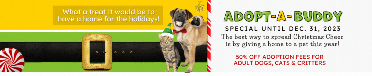 Adoption Process - AARCS