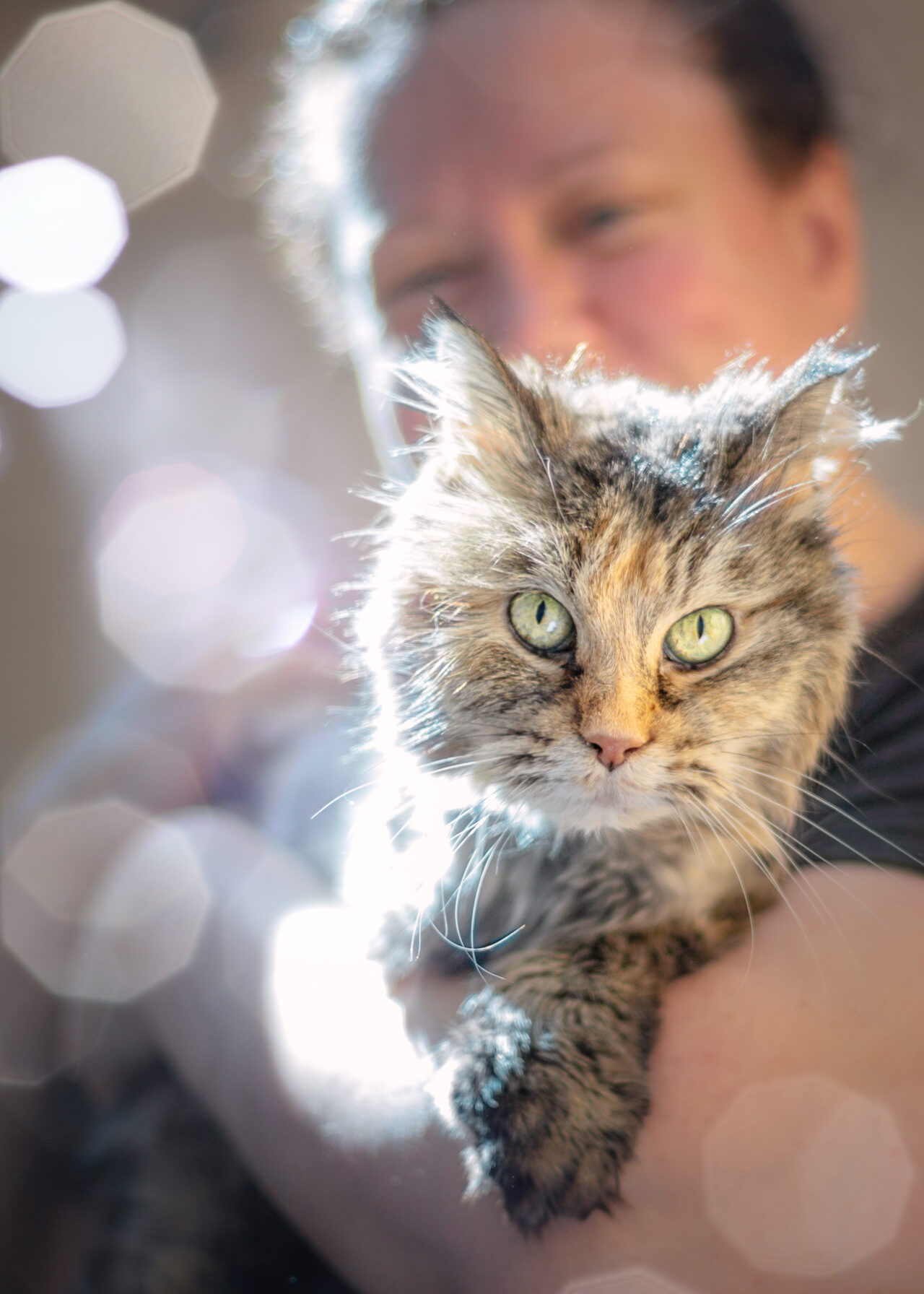 Legacy Society - AARCS