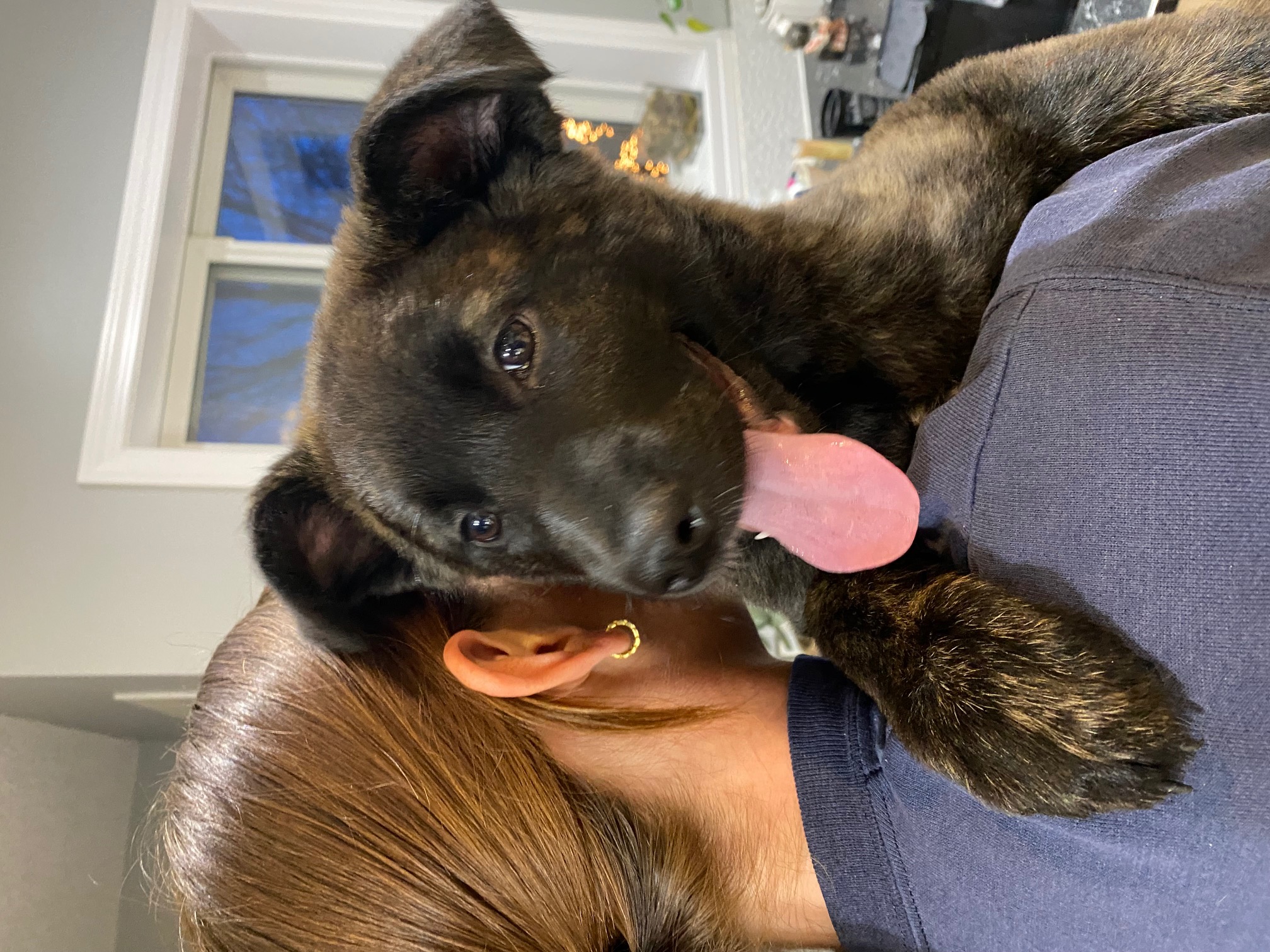 Adoptable Animals - AARCS