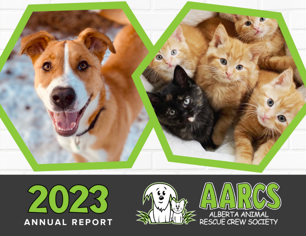 Annual Reports - AARCS