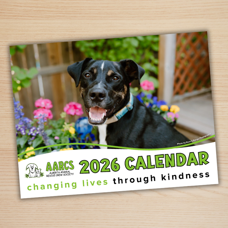 2026 AARCS Calendar - AARCS