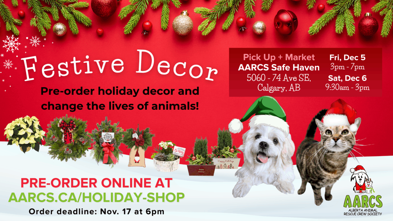 AARCS Holiday Shop - AARCS