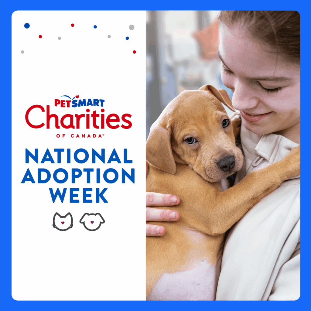 AARCS Adoption Event - PetSmart East Hills - AARCS