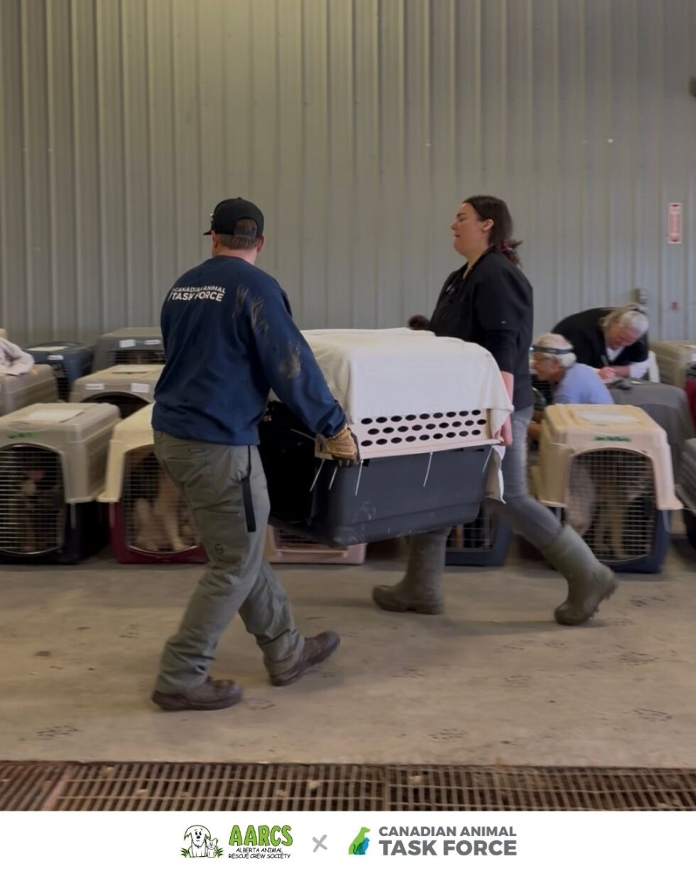AARCS and Canadian Animal Task Force Lead Massive Northern Alberta ...
